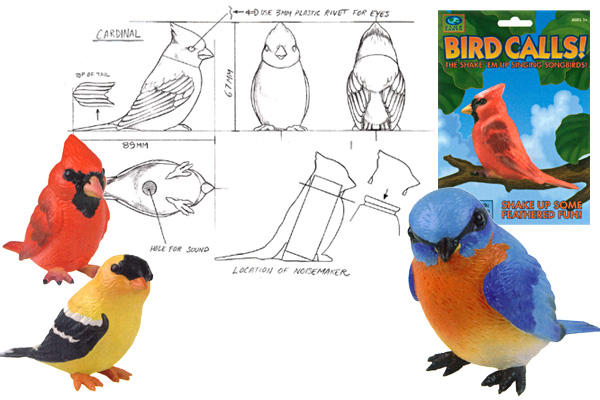 Bird Calls - Liz Goulet Dubois